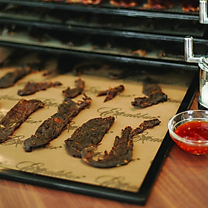 Excalibur ParaFlexx Reusable Non-Stick Drying Sheets for Food Dehydrators, Set of 4, Brown
