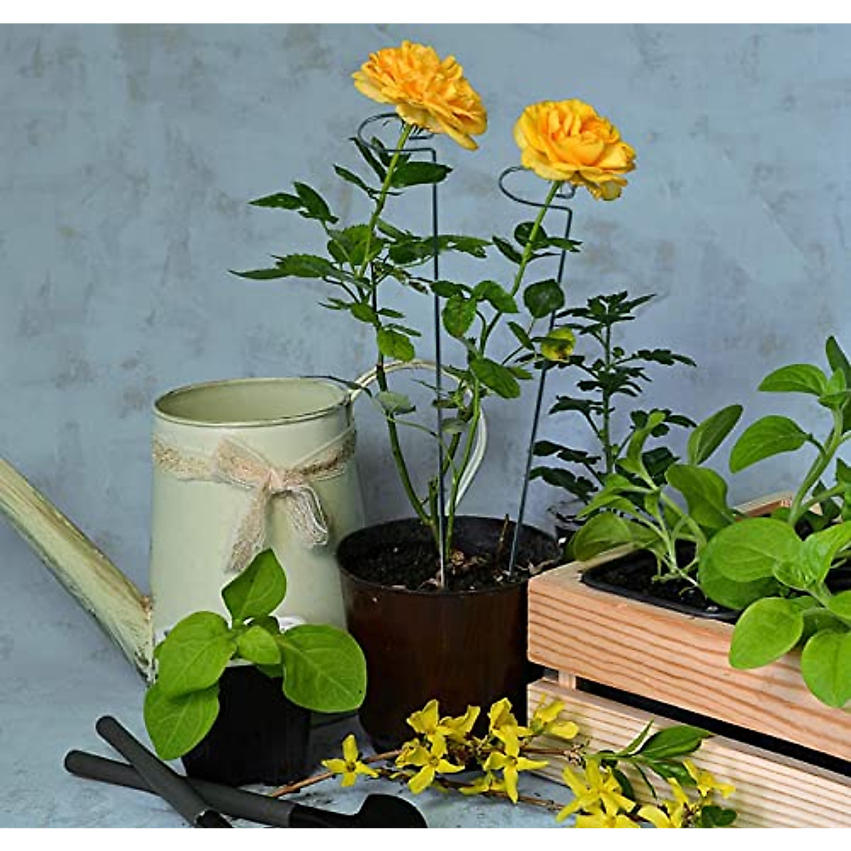 JJZJ 15.8 Inches Single Stem Plant Support Stakes Steel Garden Stakes, Pack of 10