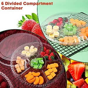 Patelai 32 Pcs Round Plastic Appetizer with Lid 10 Inch Veggie Fruit Serving Party Platter 6 Compartment Disposable Food Storage Divided Containers Supplies