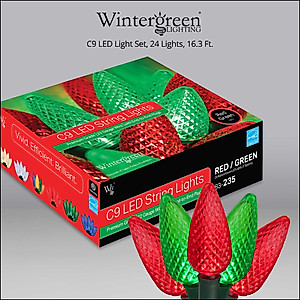 C9 Red and Green Christmas Lights Set of 24, 16.3 Ft, LED String Lights C9 Christmas Lights Red-Green Indoor-Outdoor LED Christmas Lights, IOS-4-24