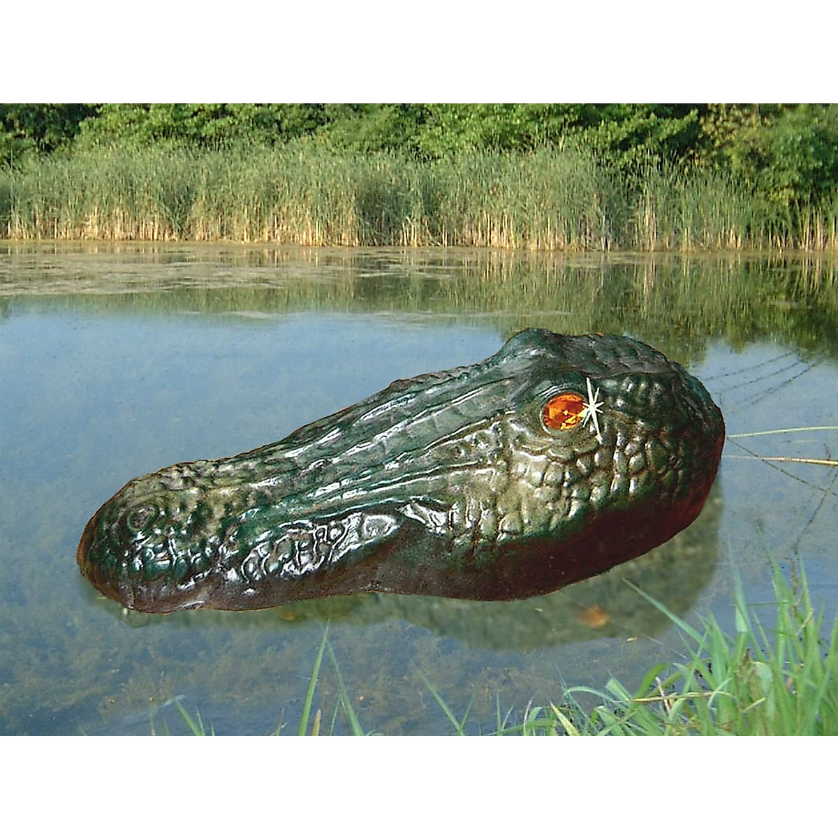 Bird-X Gator Guard® Floating Alligator Head Bird Scare with Reflective Eyes