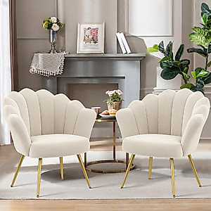 Alunaune Mid Century Velvet Living Room Chair Set of 2 Accent Chairs, Upholstered Vanity Chair for Makeup Room, Modern Barrel Arm Chair Guest Leisure Chair Comfy for Bedroom-Ivory
