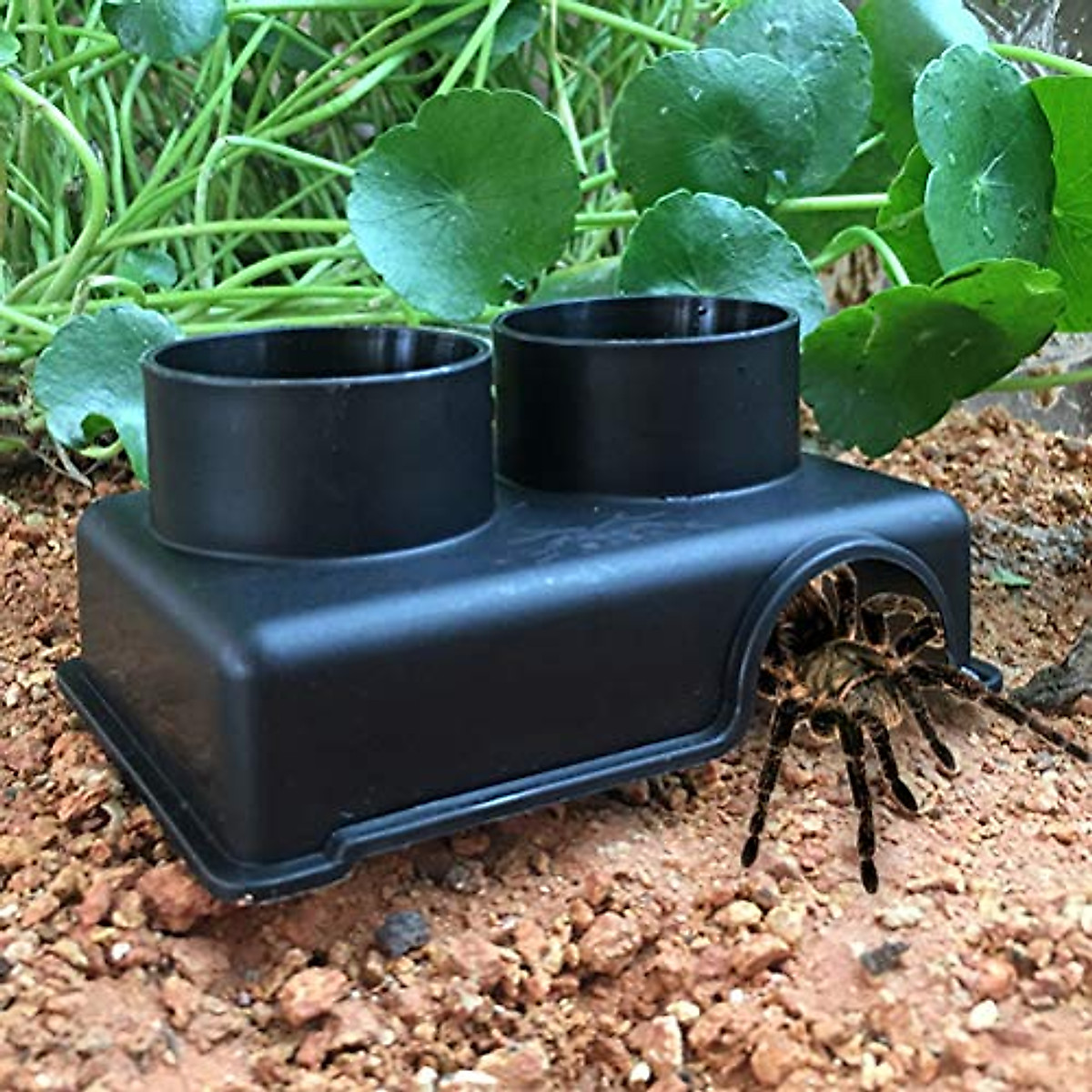 POPETPOP Panda Bear Stuffed Animal Reptile Hideaway,3-in-1 Reptile Hide with Water and Food Bowls-Reptile Dish Plastic for Snake Spider Lizard Scorpion Observation Box Stuffed Animals