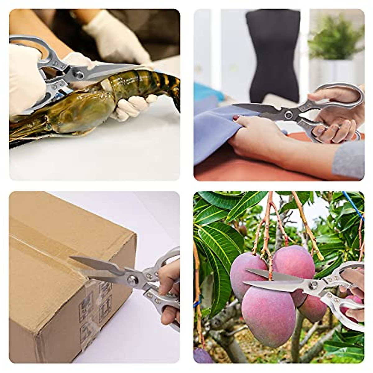 CGBE Kitchen Scissors, Multi-Purpose Kitchen Shears, Heavy Duty Dishwasher Safe Food Scissors, Non Slip Stainless Steel Sharp Cooking Scissors for Kitchen, Chicken, Poultry, Fish, Meat, Herbs-Sliver