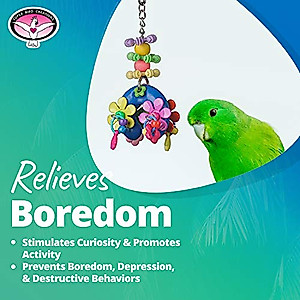 Super Bird Creations SB1085 Flower Power Bird Toy, Small/Medium Bird Size, 7" x 2.5" x 2"