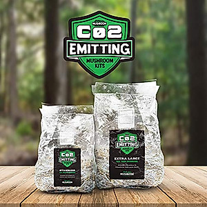 CO2 Emitting Reishi Mushroom Kits - Carbon Dioxide Booster Bag (Standard) - PRE-Activated