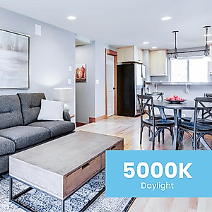 Feit Electric LED BR30 Light Bulbs, 65W Equivalent, Dimmable, 10 Year Life, 650 Lumens, 5000k Daylight, E26 Base Recessed Can Light Bulbs, Flood Light Bulbs, Damp Rated, 6 Pack, BR30DM/850/10KLED/6