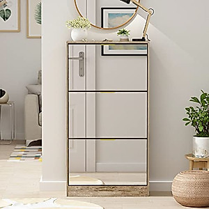 DiDuGo Shoe Cabinet with 3 Mirrored Flip Drawers, Slim Shoe Storage Cabinet for Entryway Brown (22.4”W x 9.6”D x 42.1”H)