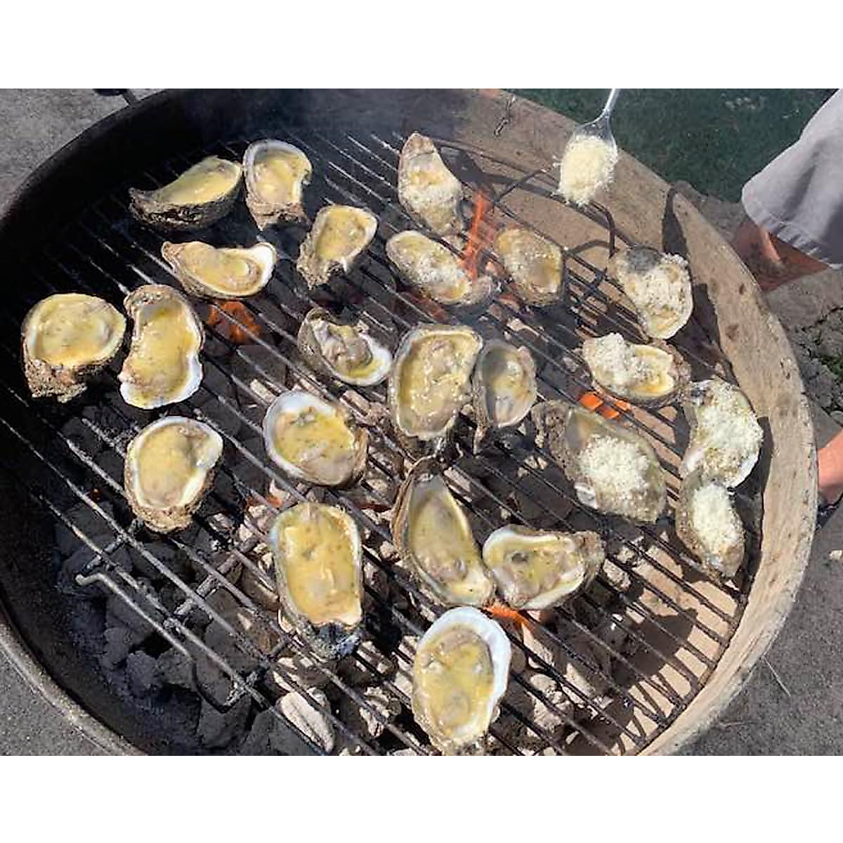 King Kooker 5500 Stainless Steel Oyster Opener, with Oyster Knife