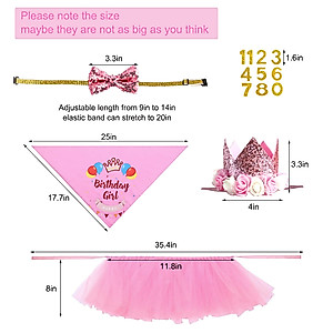 Dog Birthday Party Supplies, Dog Birthday Decorations Girl, Lets Pawty Balloons Banner, Hat Bandana Tutu Skirt for Small Medium Girl Dogs