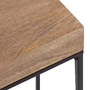 Kate and Laurel Xyler Round Wood and Metal Drink Table, 10 x 10 x 24, Walnut Brown Wood and Antique Brass, Mid-Century Plant Pedestal Table for Storage and Display