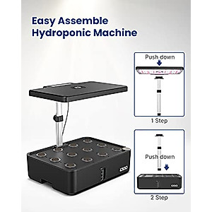 iDOO Hydroponics Growing System 12Pods, Indoor Garden with LED Grow Light, Plants Germination Kit, Built-in Fan, Automatic Timer, Adjustable Height Up to 11.3" for Home, Office