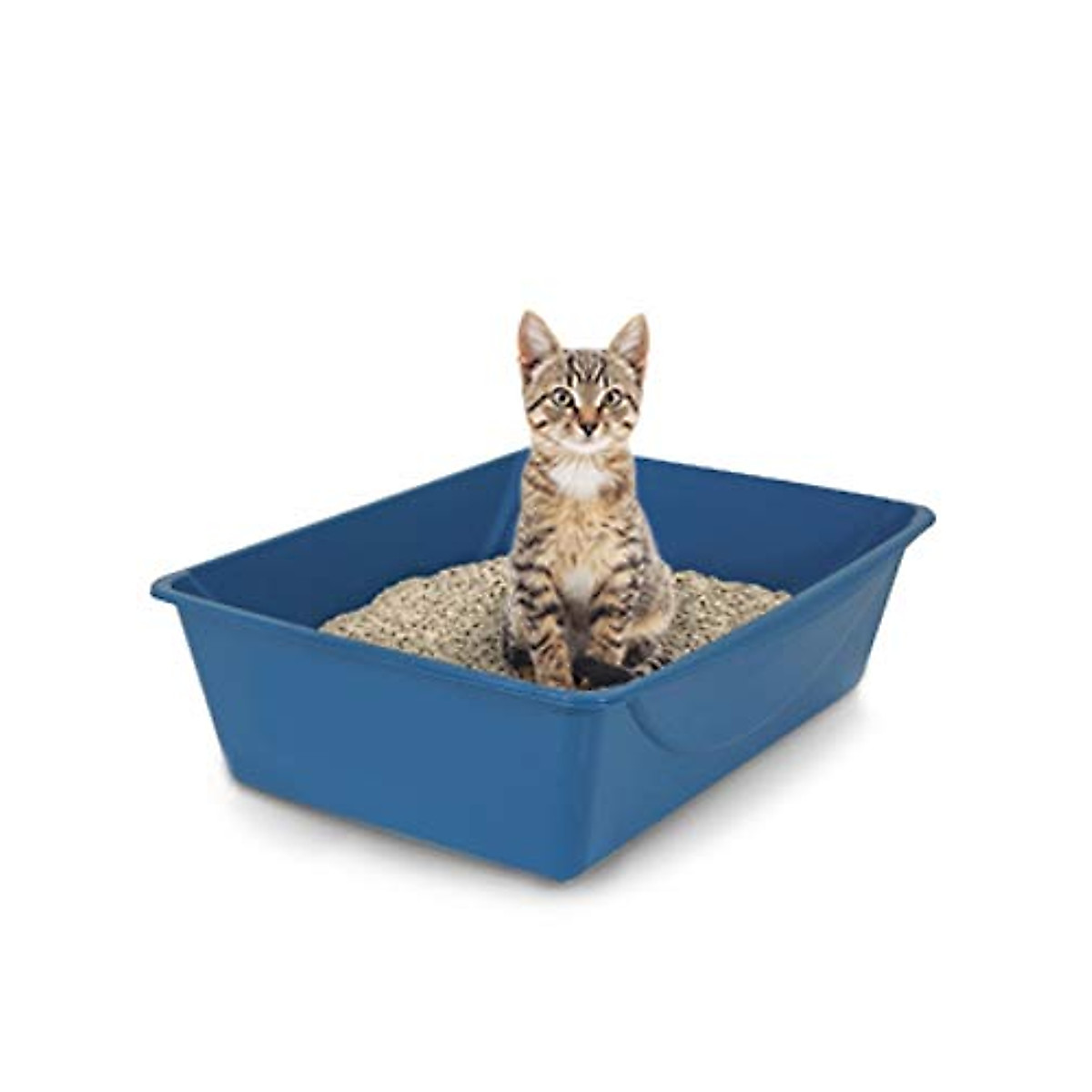 Petmate Litter Pan, Blue/Gray, Small, Made in USA