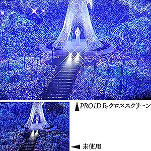 Kenko 72mm PRO1D R-Cross Screen Wide Digital-Multi-Coated Camera Lens Filters