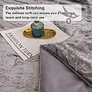 YOZEN Queen Size Korean Velvet Comforter Set Grey Gray, 3 Pieces Crushed Crinkled Luxury Textured Bedding Comforter Sets, Lightweight Microfiber Down Alternative Bed Set