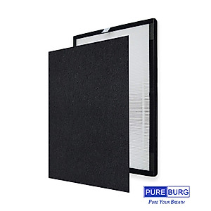 PUREBURG FLT5600 Replacement Filter Set Compatible with GermGuardian AC5600WDLX AC5600W AC5600WFL Air Purifier FLT56CB4 Filter N,2-Pack H13 HEPA Activated Carbon