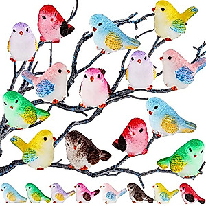 Miniature Bird Figurines Bird Decorative Figurines Dollhouse Simulation Bird Figures Toy Mini Bird Figures Cute Animal Model for Fairy Garden, Miniatures Moss Decoration, Micro Landscape (24 Pieces)