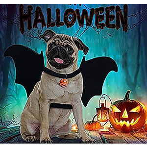 Halloween Dog Costume Pet Bat Wings Funny Cosplay Apparel Puppy Costumes for Medium Large Dogs Outfit, Adjustable Bat Wing with Dog Leash and Pumpkin Bells (Black, Under 80 pounds)