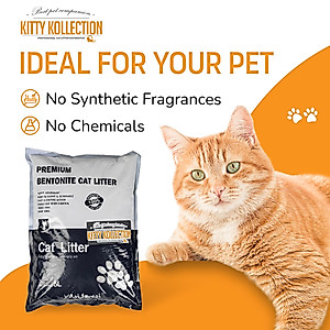 Kitty Kollection - Premium Bentonite Cat Litter, Easy-to-Clump Super Absorbent Kitty Litter with Excellent Odor Control, Toxin-&-Dust-Free Unscented Cat Litter, 5L