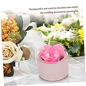 Healvian Box Packing Box Clear Candy Jars Mini Cake Boxes Clear Plastic Containers Candy Container Dome Present Elegant Candy Container Wedding Supply Chocolate Box Unique Gift Box Pink PC