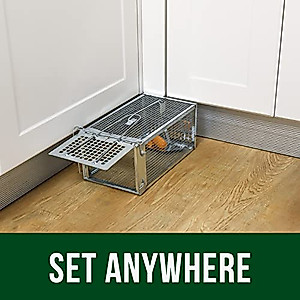 Garsum Humane Mouse Trap, Squirrel Trap, Live Animal Trap, Rodent Cage Catch Mice, Squirrels, Chipmunks, Hamsters for Indoor and Outdoor, Catch and Release, 1 Trap