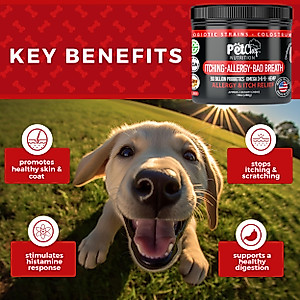Pet Chef Allergy Defender - Natural Dog Allergy Relief Chews - Effective Medicine for Dog Allergies, Environment and Household Irritant Prevention - Safe & Strong Allergy Supplements for Dogs