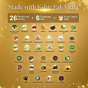 SESA Ayurvedic Regain 2 Step Hair Oil Growth Kit With 26 Herbs And 6 Essential Oils Promotes Hair Growth Reduces Hair Fall With Massager Natural Hair Oil For Women And Men, 100 Ml or 3.38 oz