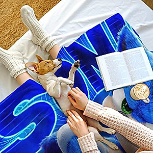 Trendy Blanket, Ultra-Soft Warm Cozy Fleece Throw Blanket, Smooth Fuzzy Flannel Plush Blankets for Bed Sofa Gift Home50 x40