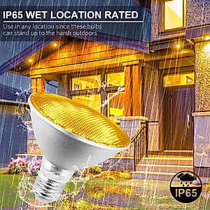 Familite LED Bug Light Bulbs, 1900K Yellow Outdoor PAR30 Flood Lights, Dusk to Dawn Auto On/Off Porch Lights, Waterproof, Replace up to 100W for Garage Hallway Yard Porch, 2 Pack (1900K Amber)