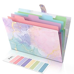 SKYDUE Expanding File Folder with 5 Pockets, Cute Accordion File Organizer, Letter Size Filing Folder, Letter Size Folders for Documents, School Office Supplies Marble Pink
