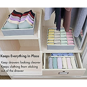 Felibeaco 4 Pack Foldable Underwear and Bras Drawer Organizers, Fabric Closet Dresser Drawers Organizers Dividers, Clothing Storage Organizers Box for Lingerie, Panties, Socks, Briefs,Ties, Gray