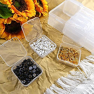 SKYVAN 12pcs Mini Clear Plastic Beads Storage Box Small Empty Organizer Box with Hinged Lid for Storage of Small Items, Jewelry,Hardware,DIY Art Craft Accessory (2.12 x 2.12 x 0.79 inch)