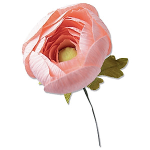 Sizzix Thinlits Die Set 5PK Ranunculus by Olivia Rose, 664925, One Size, Multicolor