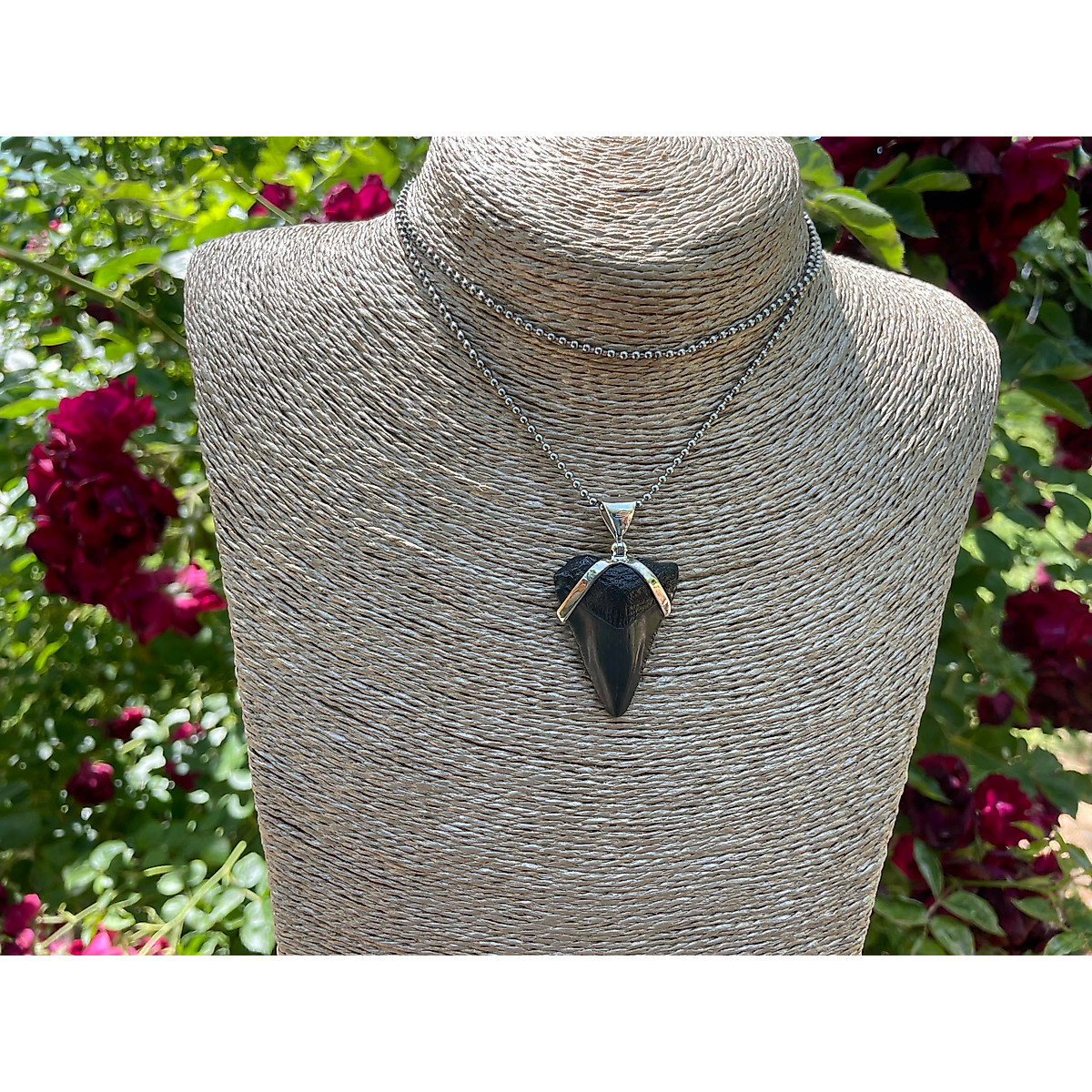 Starborn Fossil Shark Tooth Pendant in Sterling Silver - MD