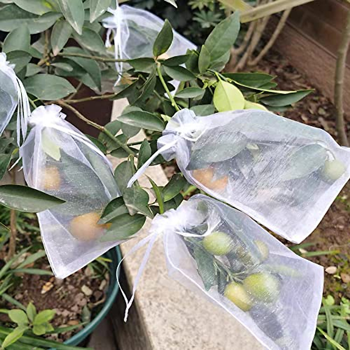 100 Pcs Penetrating Light Fruit Protection Bags- 8x12 Inch Organza Fruit Netting Barrier Bags ,Garden Plant Fruit Mesh Bags with Drawstring