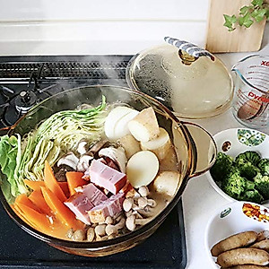 PEARL METAL VISIONS CP-8721 Tabletop Pot, 9.4 inches (24 cm), Heat Resistant Glass, Microwave Safe, Oven Safe, Dishwasher Safe, See Inside