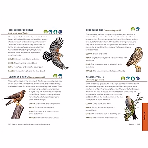 North American Bird Watching for Beginners: Field Notes on 150 Species to Start Your Birding Adventures