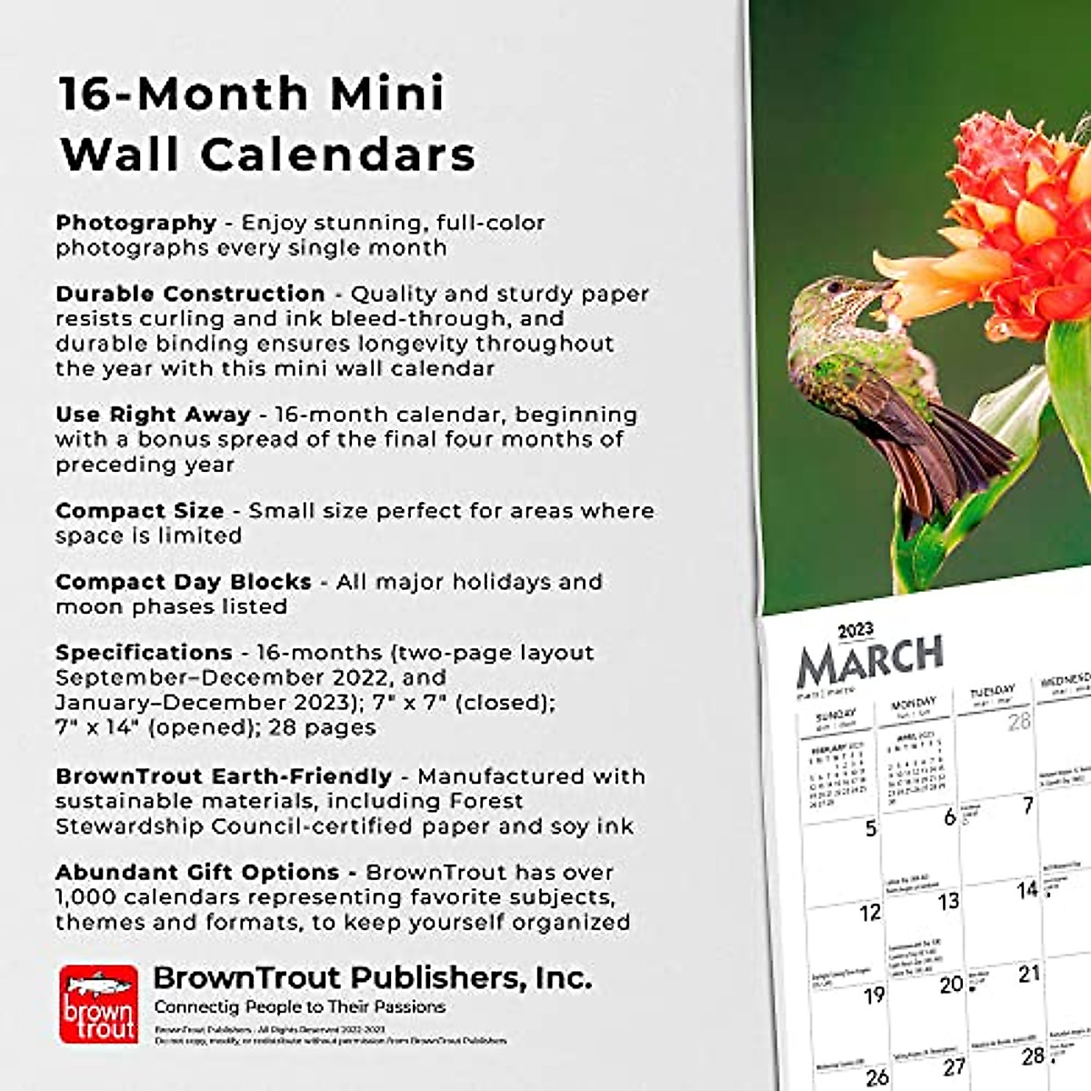 Hummingbirds | 2023 7 x 14 Inch Monthly Mini Wall Calendar | BrownTrout | Animals Wildlife Nature
