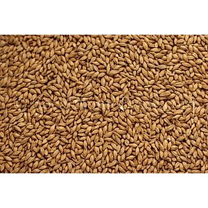 Maris Otter Malt (10 lb)