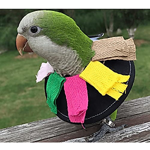 Adjustable Bird Collar Anti Bite Elizabethan Recovery Cone, Bird Neck Protector for Feather Plucking, Skin-Friendly Bird Neckwear Full Body Shield for Parakeet Conure Cockatiel (M)