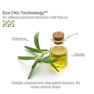 GIOVANNI Invigorating Conditioner Cooling Peppermint, Eucalyptus, Conditioning Rosemary, Tea Tree Triple Treat (Tea Tree Botanicals), 33.8