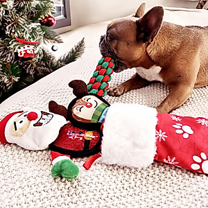 DOGZSTUFF Christmas Dog Toys with Dog Christmas Stocking - 3 Pack Durable Squeaky Xmas Dog Toys for Small Medium and Large Dogs Plus Reusable Holiday Stocking