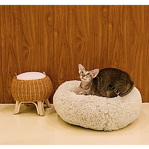 Qucey Calming Cat Beds for Indoor Cats, Anti Anxiety Round Fluffy Plush Faux Fur Cat Bed, Washable 23 inches Small Dog Bed & Cat Bed