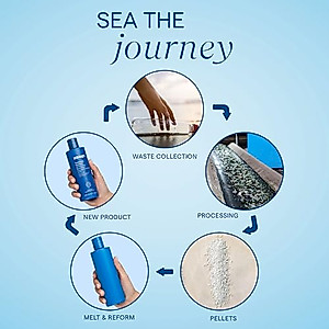 AQUAGE. Color Protecting Shampoo, Contains AlgaePlex Marine Botanicals to Help Seal In Color and Provide Gentle Cleansing, 8 oz