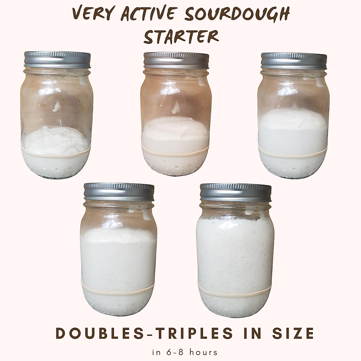 Sourdough Starter - Dehydrated Heirloom Style Sourdough Starter for Sourdough Bread, Pizza, Buns, Pancakes, Muffins | Easy to follow instructions. By Captain Sourpants