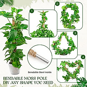 Byjogger Moss Pole, Moss Pole for Plants Monstera, 45'' Moss Poles for Climbing Plants, Monstera Moss Pole, Plant Support for Indoor Plants, Bendable Moss Pole for Plants Growth(1 Pcs)