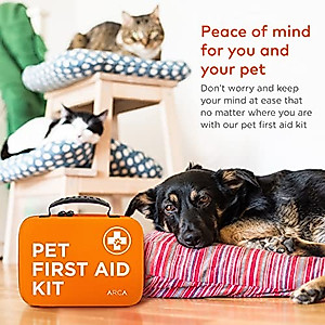 ARCA PET Cat & Dog First Aid Kit Home Office Travel Car Emergency Kit Pet Travel Kit – 100 Pieces with Emergency Collar and Pet Thermometer & Mini Pouch (Neon Orange)