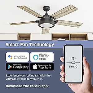 Prominence Home 51639-01 Potomac Smart Ceiling Fan and Remote, 52, Matte Black