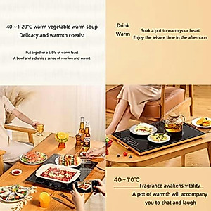 Electric Food Warmer Plate, Electric Warming Tray Multifunctional Hotplates Keep Food Warm for Buffets Home Dinners with Touch and Spin Adjustable Temperature Control Warming Serving Tray Food