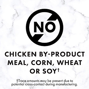 NUTRO NATURAL CHOICE Adult Dry Dog Food, Beef & Brown Rice Recipe Dog Kibble, 28 lb. Bag